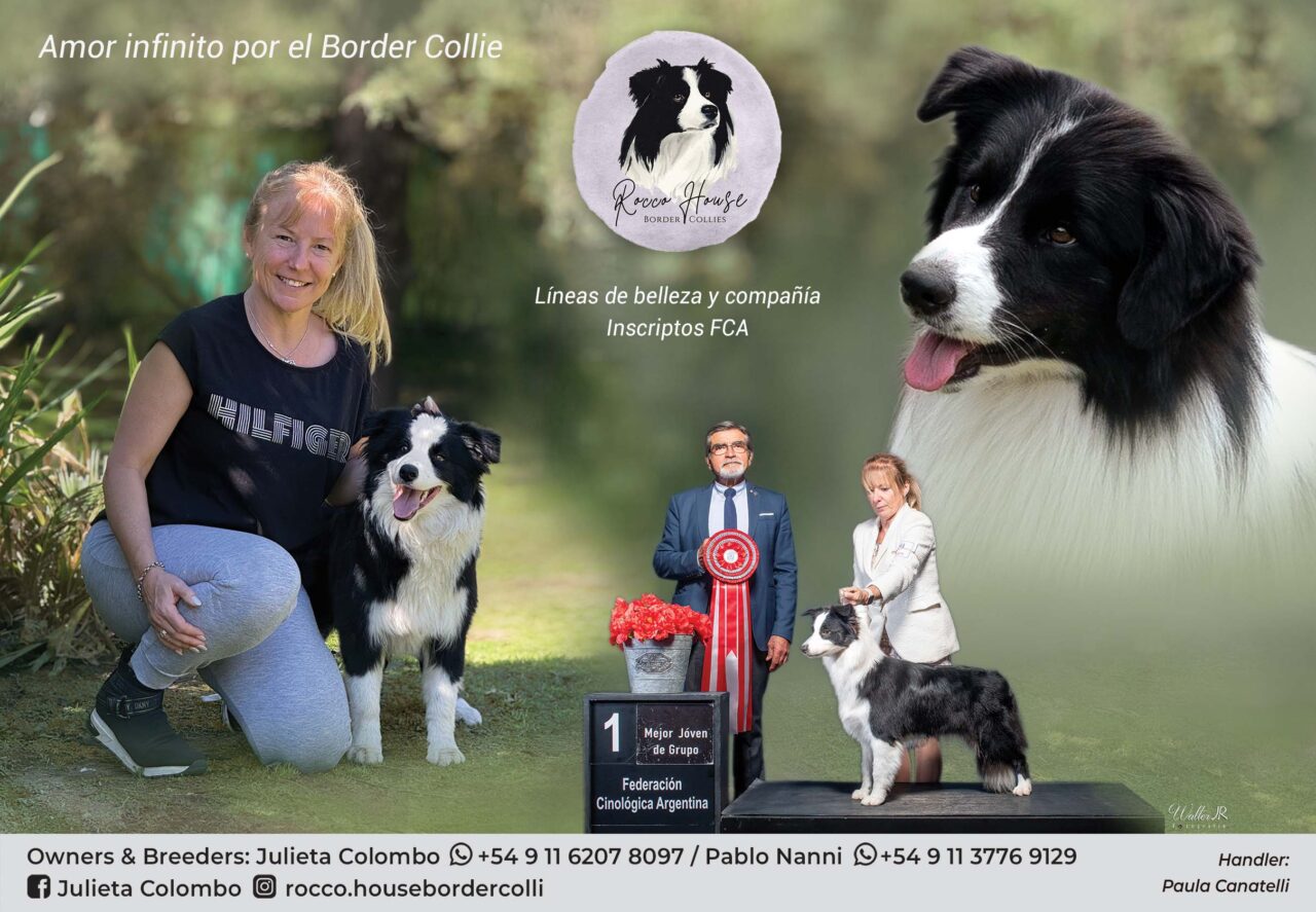 Rocco House | Revista Mundo Mascota